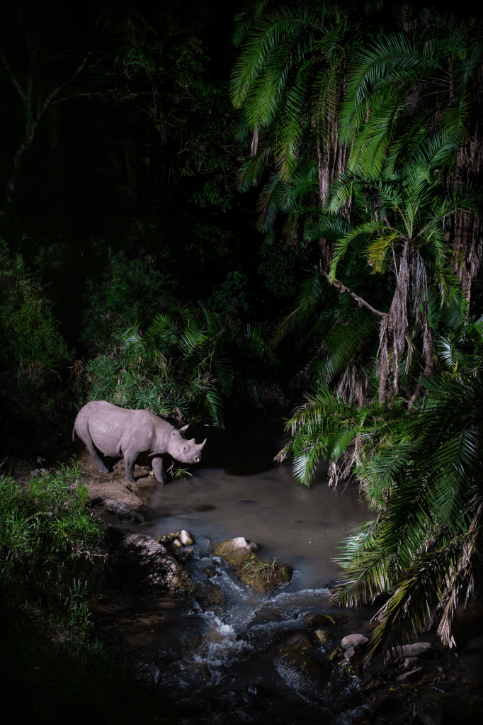 Landmark 20th anniversary Sony World Photography Awards competition now ...