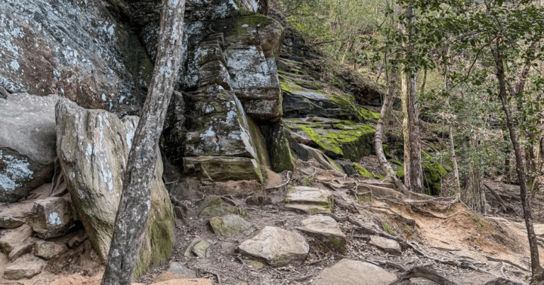 5 stunning spring hikes in North Carolina you'll want to try