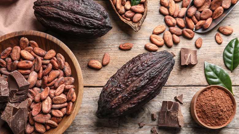 Cocoa vs. cacao: What's the difference?