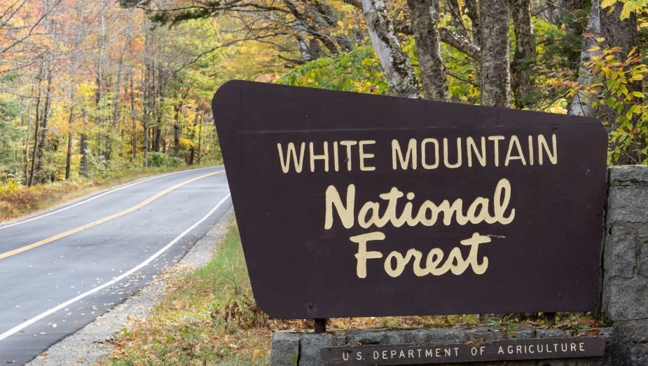 White Mountains adventures for every season