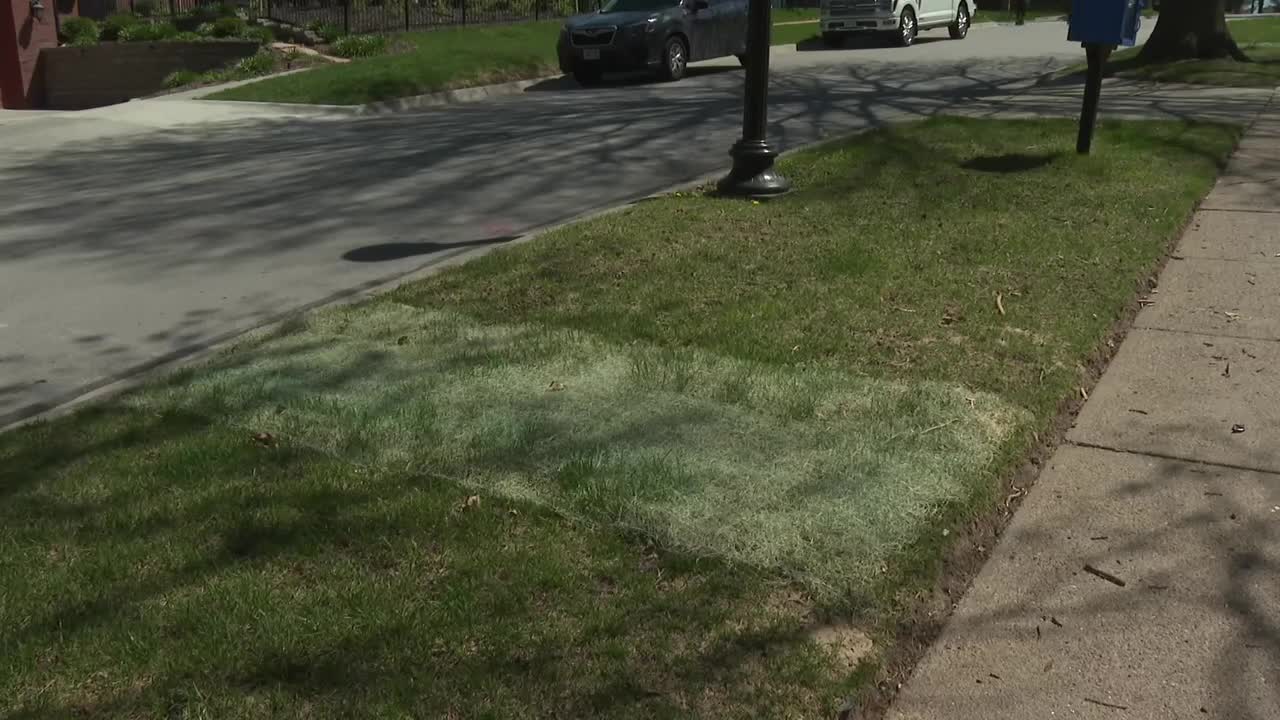 Do you have grass mesh in your yard from cable installation? Here's ...