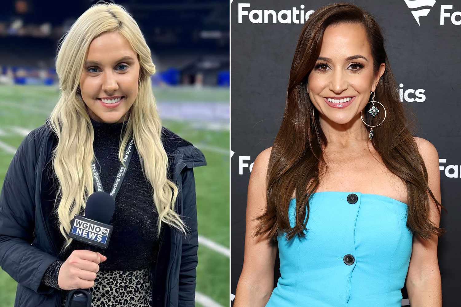USA Today NFL reporter fired over social media comment on Dianna ...
