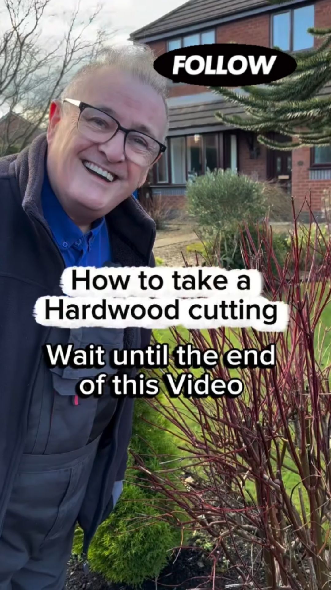 This simple cutting trick creates endless new plants!