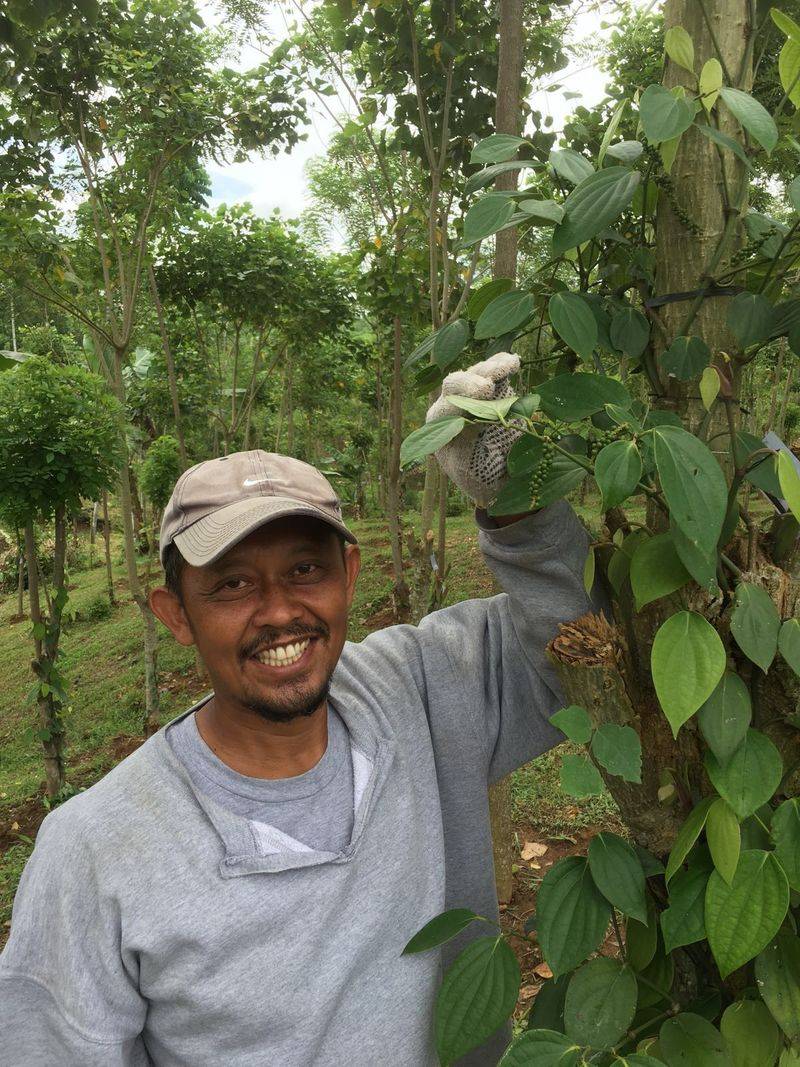 Which country grows the most black pepper in the world
