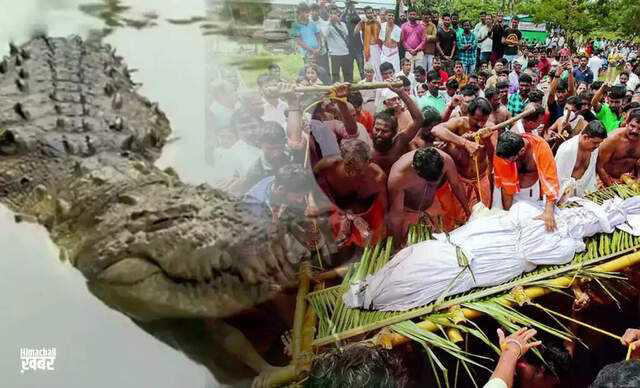 Kerala's beloved vegetarian crocodile passes away