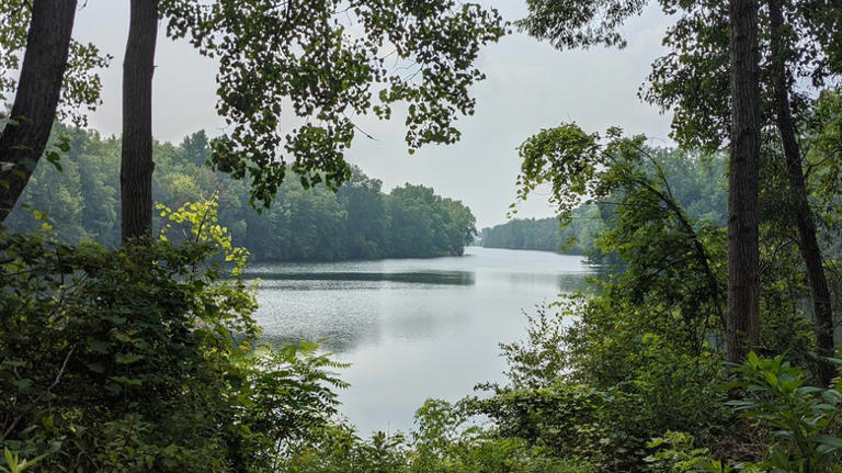 Between Detroit and Grand Rapids is Michigan's quaint Lansing suburb ...