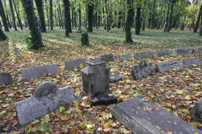 W tym parku trudno się nie bać. Bluszcz, groby, półmrok i... gęsia ...
