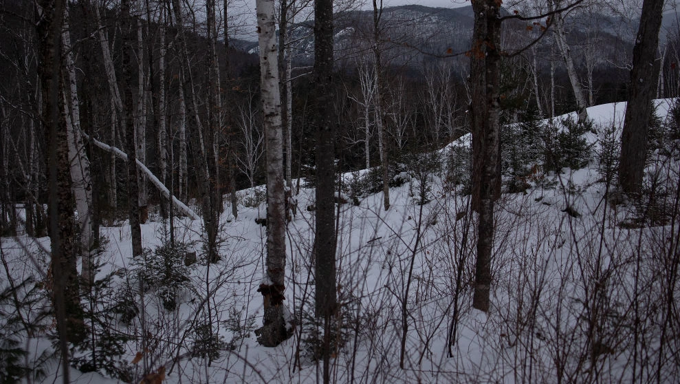 White Mountains adventures for every season