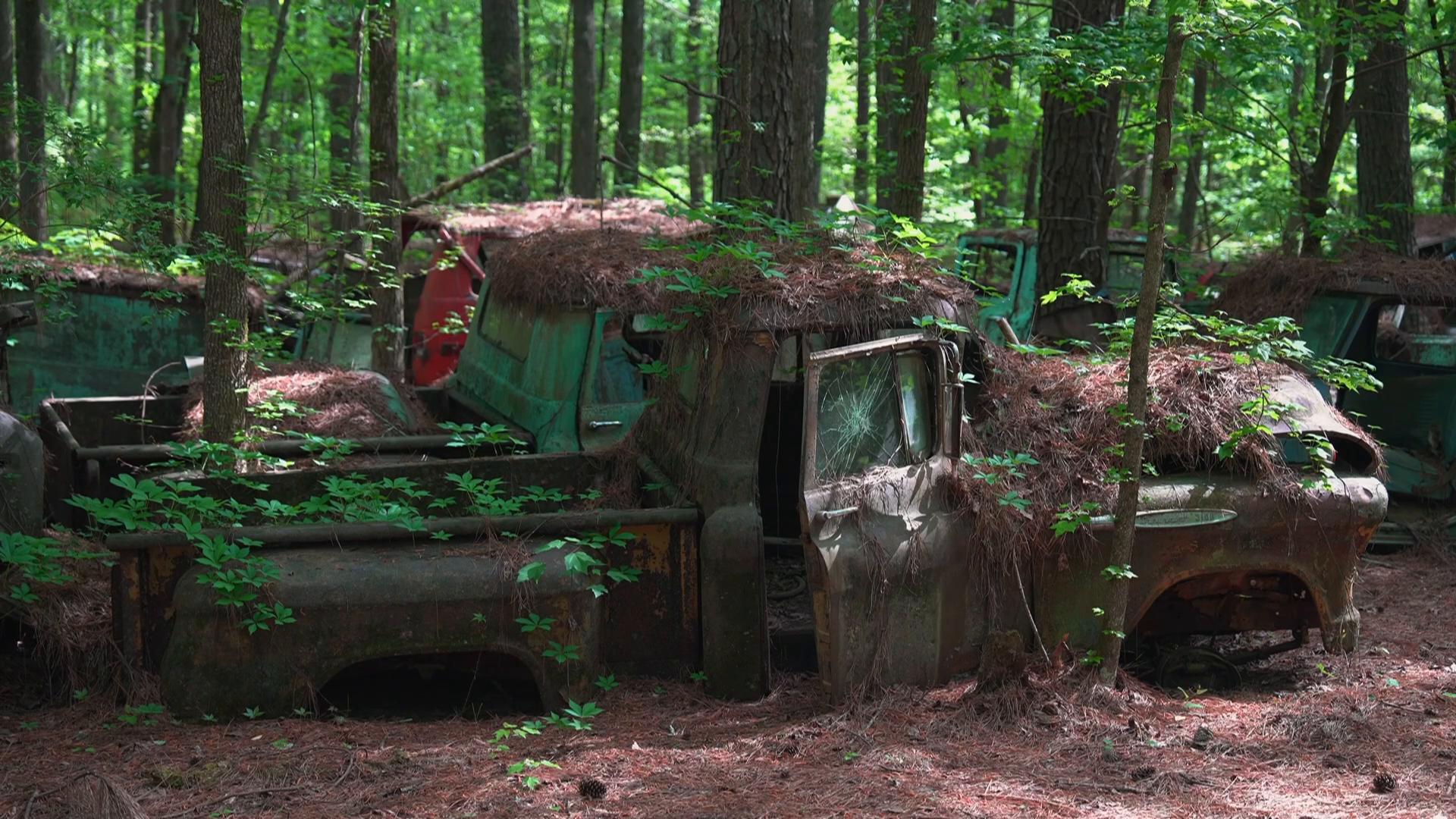 Inside the classic car junkyard hidden in a US forest