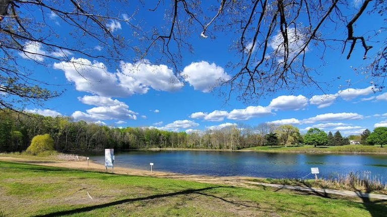 Between Detroit and Grand Rapids is Michigan's quaint Lansing suburb ...