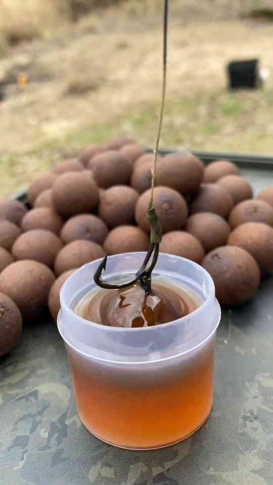 Why this carp rig stands out again