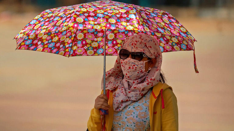 Chennai weather this week: Temperature may breach 40°C, brief window of ...