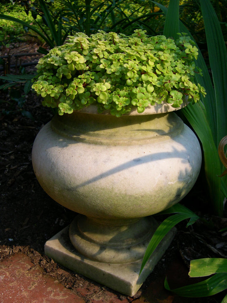Should you put gravel in the bottom of your potted plants?
