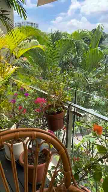 Most beautiful plants you’ll want in your home