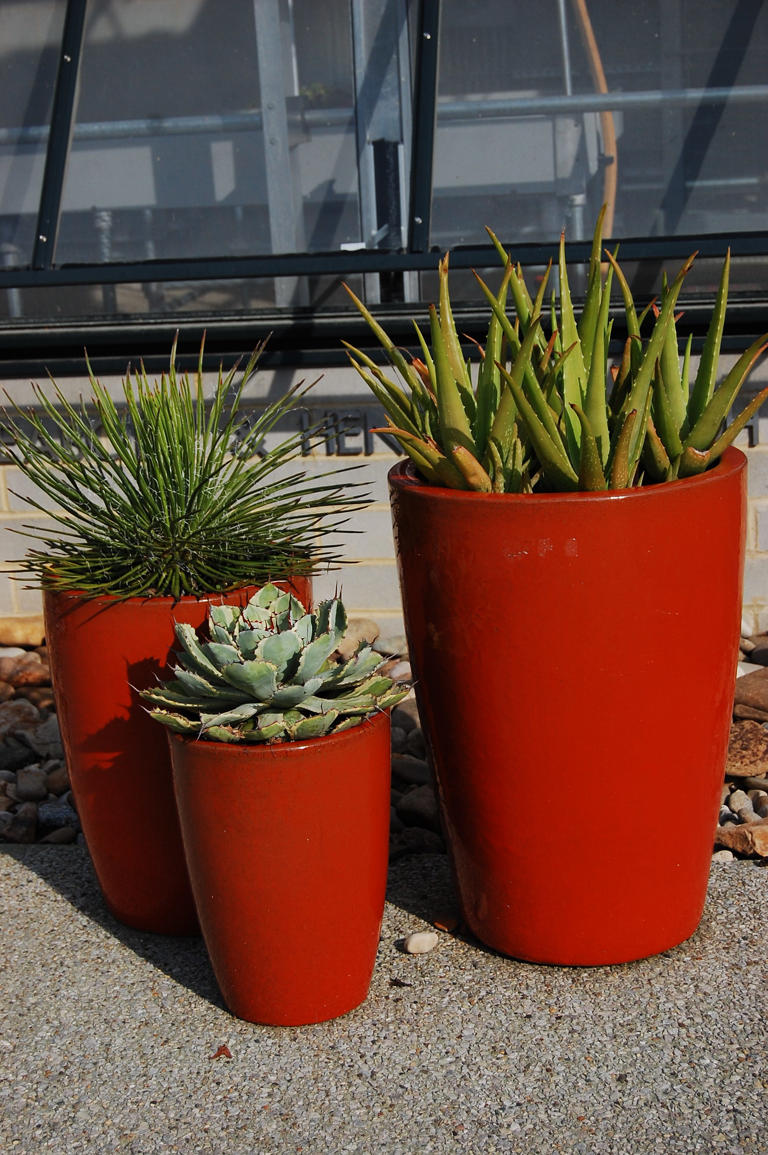 Should you put gravel in the bottom of your potted plants?