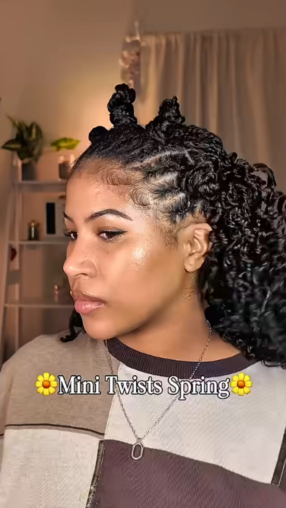 Mini twists routine for healthy hair growth