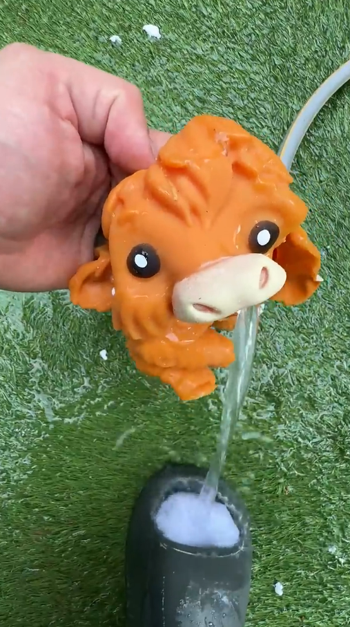 Highland cattle flooded my garden, funny farm chaos