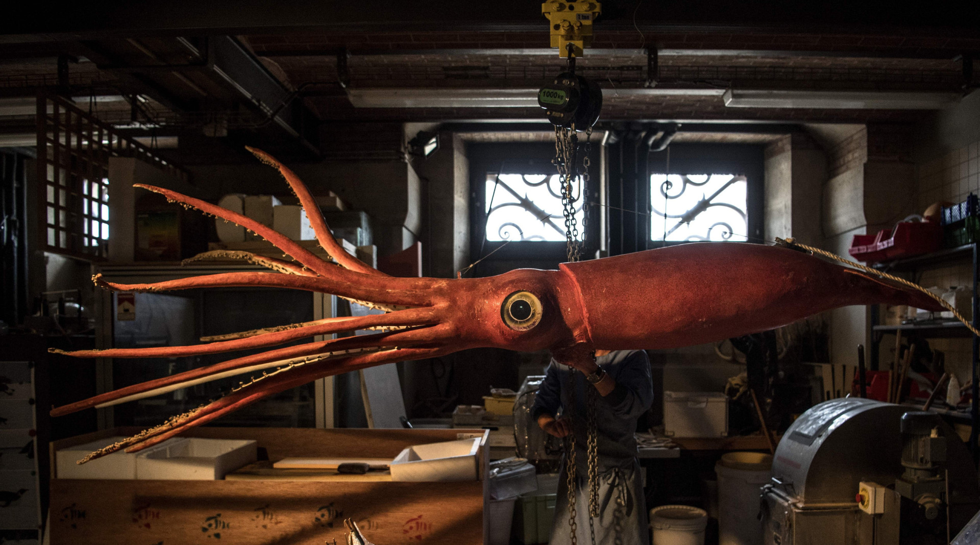 The real animals behind mythical creatures
