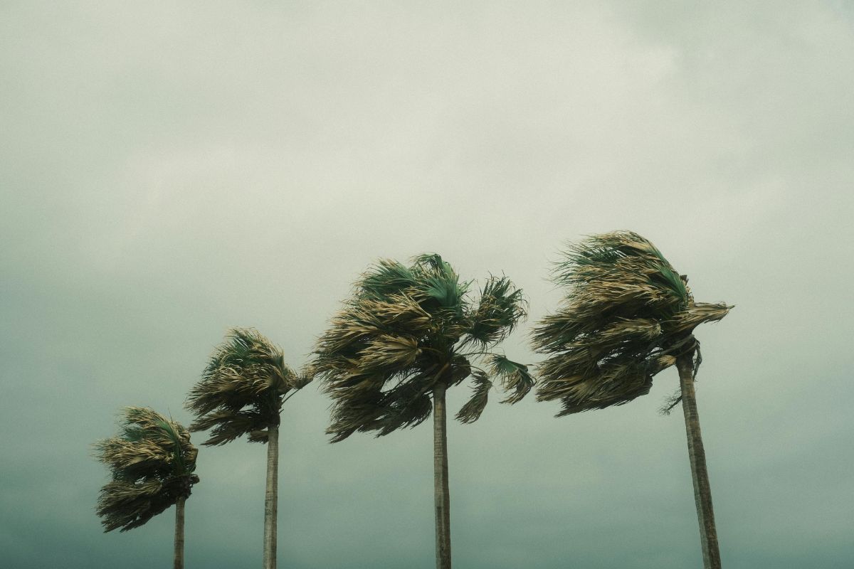 Cold, windy conditions and rain expected across parts of South Africa