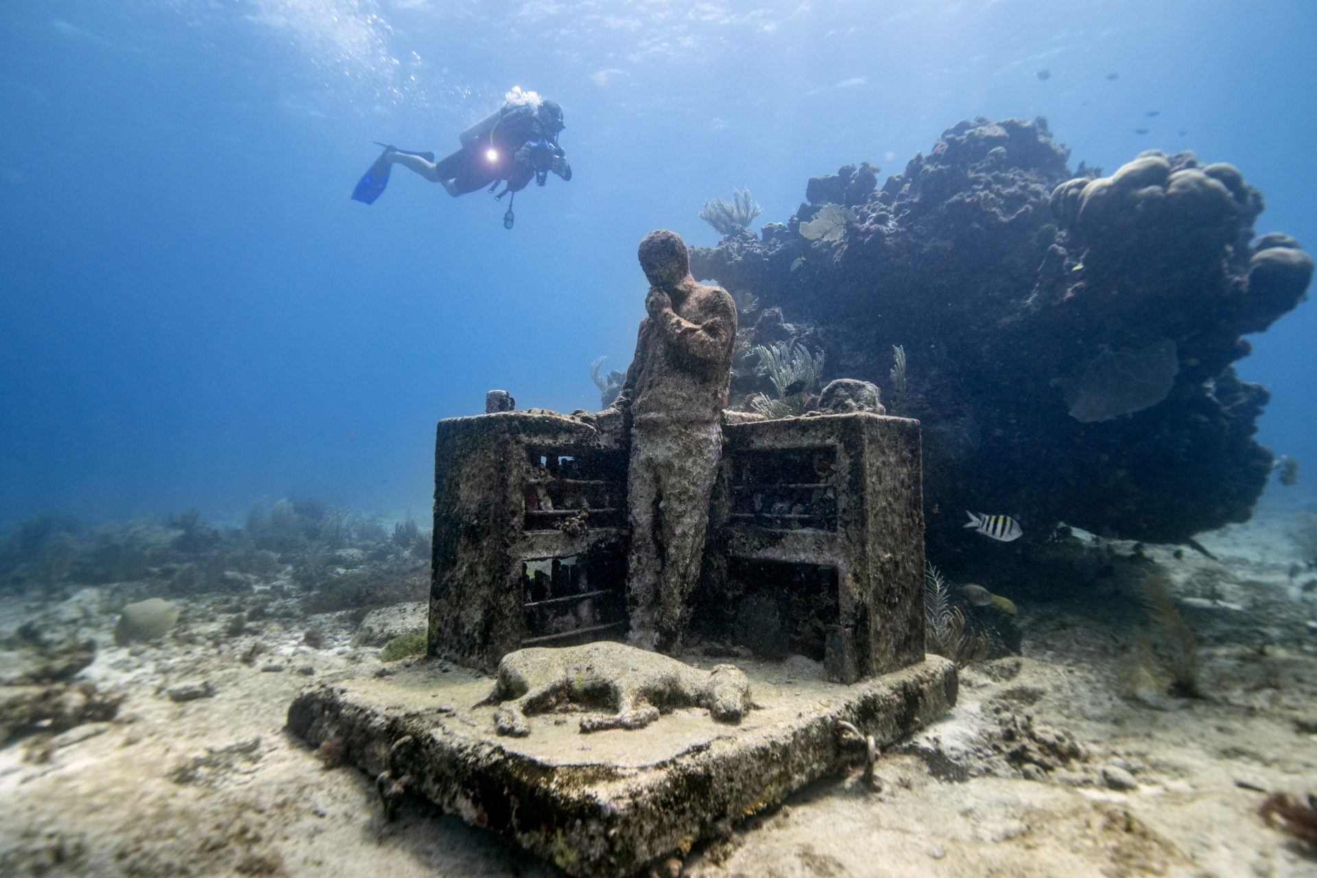 Uncover the bizarre: Inside the world’s most unique museums