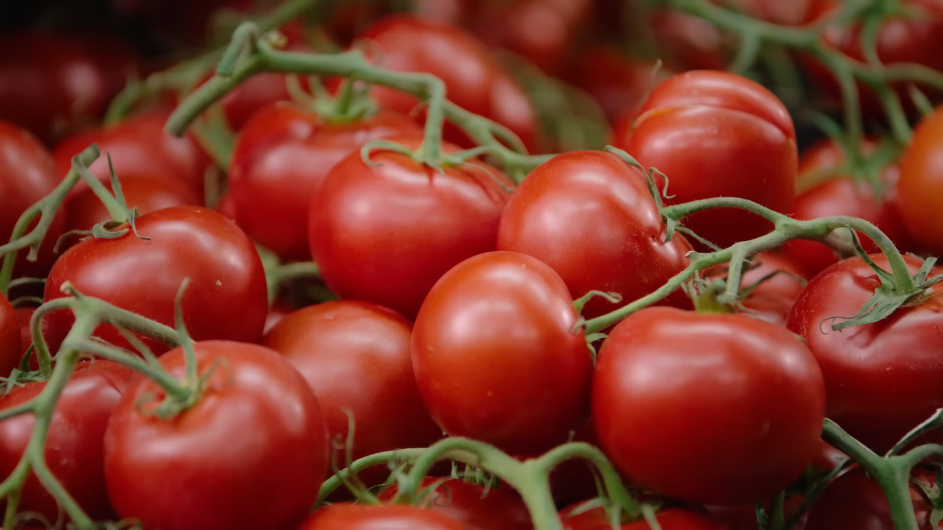 Your food has less nutrition than it used to