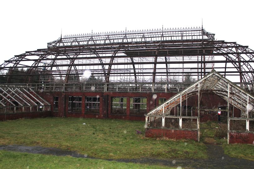 Springburn Winter Gardens lease handed over to community for next 25 years