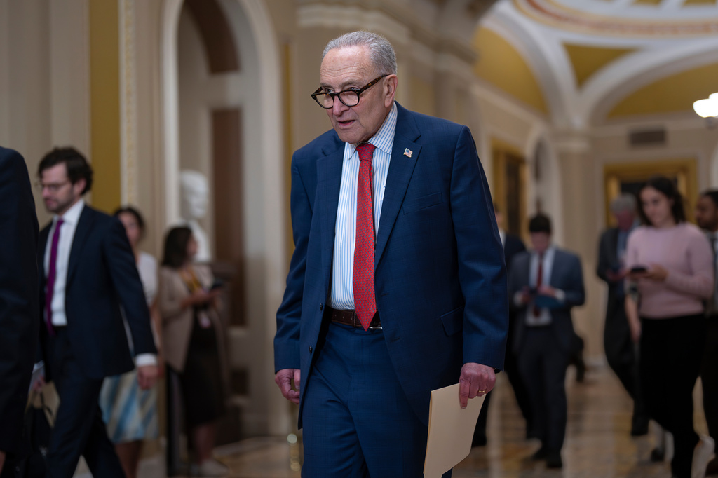 Schumer’s handpicked Senate recruits trail primary challengers in early ...