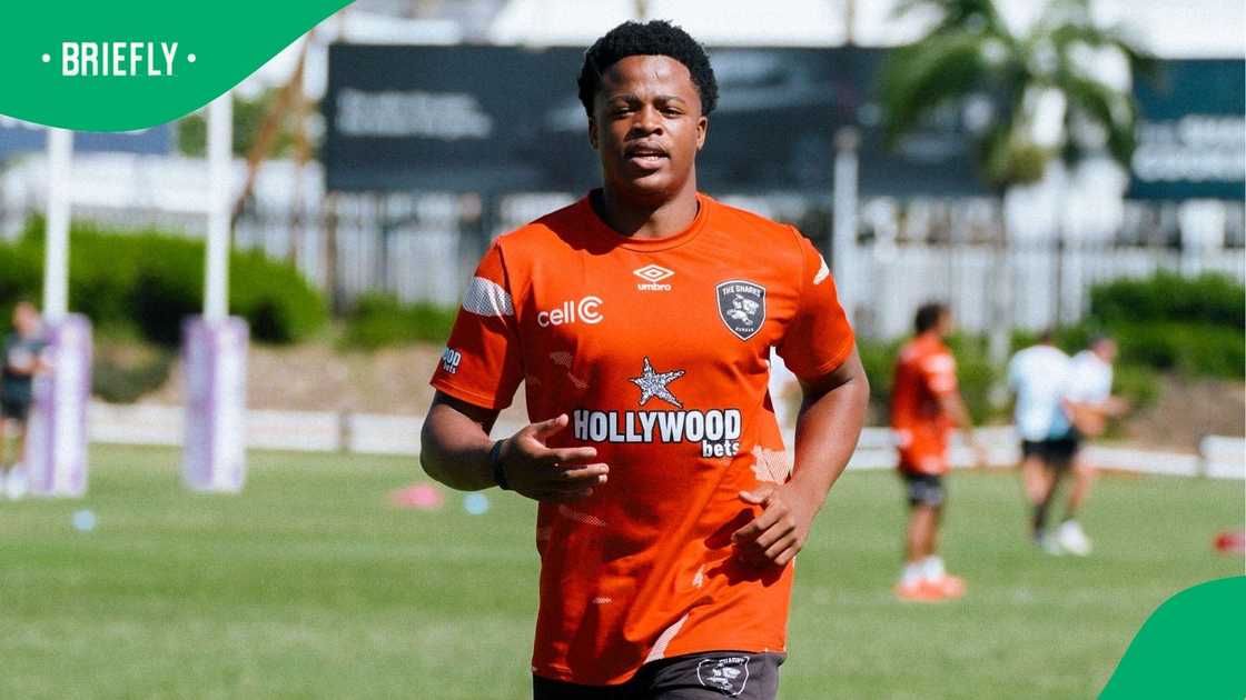 Fans hail Zekhethelo Siyaya after Sharks hand 18-year-old debut vs Ospreys