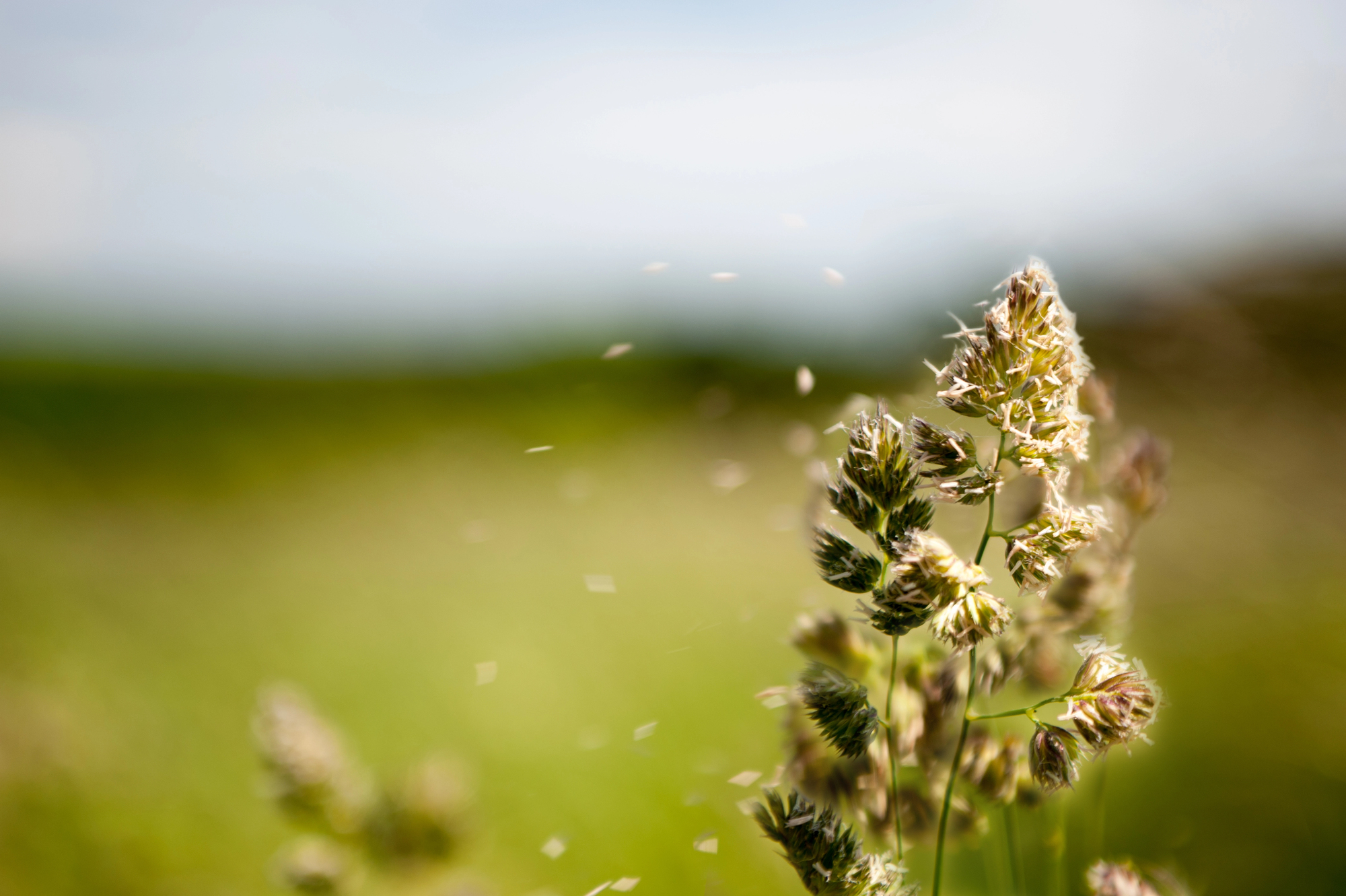 15 stunning macro photos that reveal the beauty of everyday items