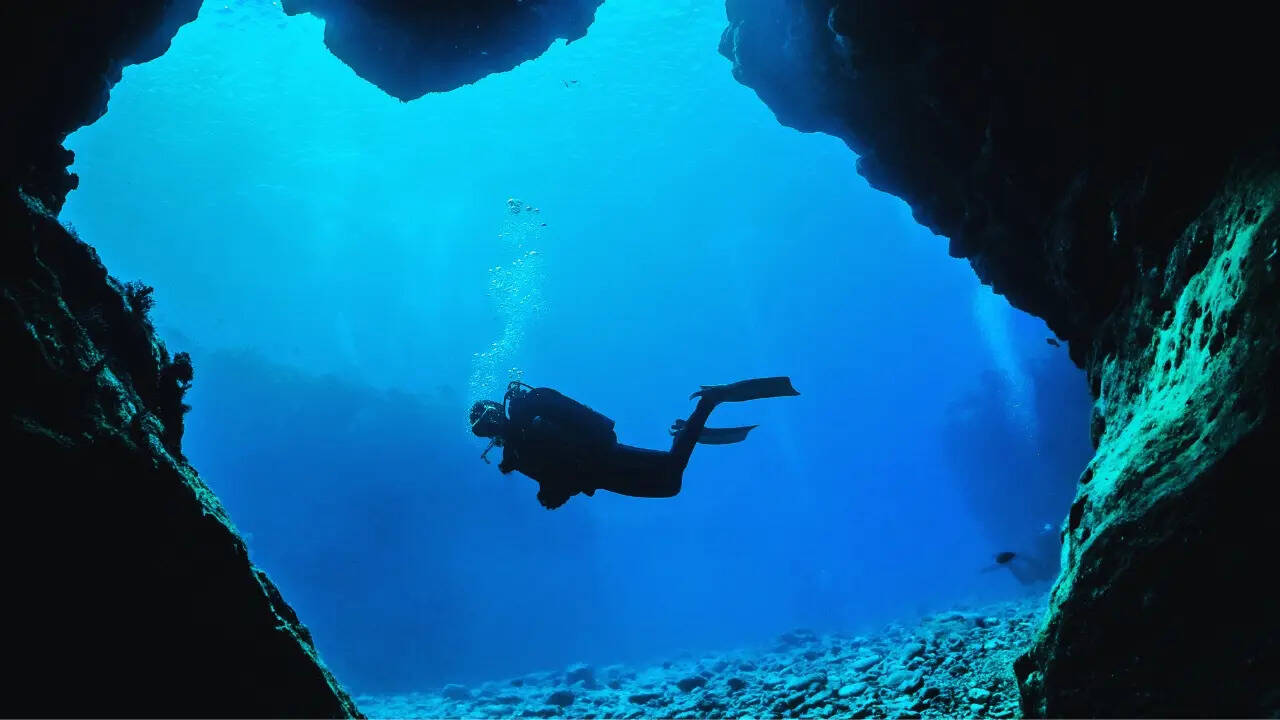 The ocean is scarier than you think: 10 chilling facts