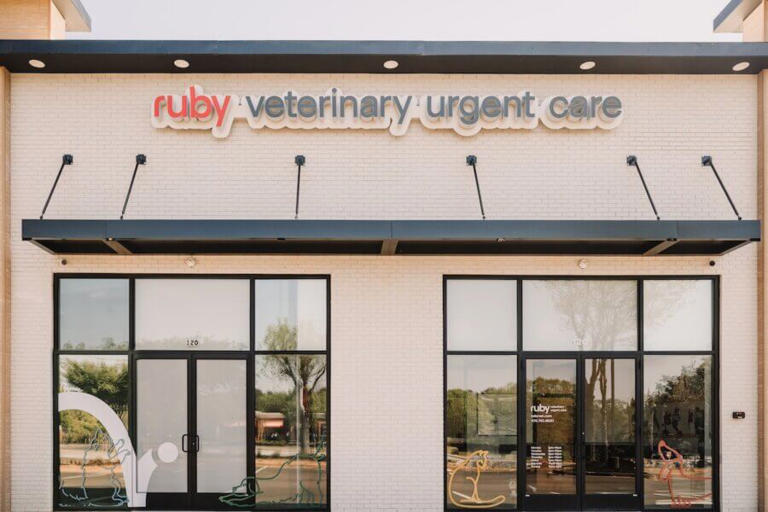 Not your average vet: A beautifully designed Georgia clinic inspired by ...