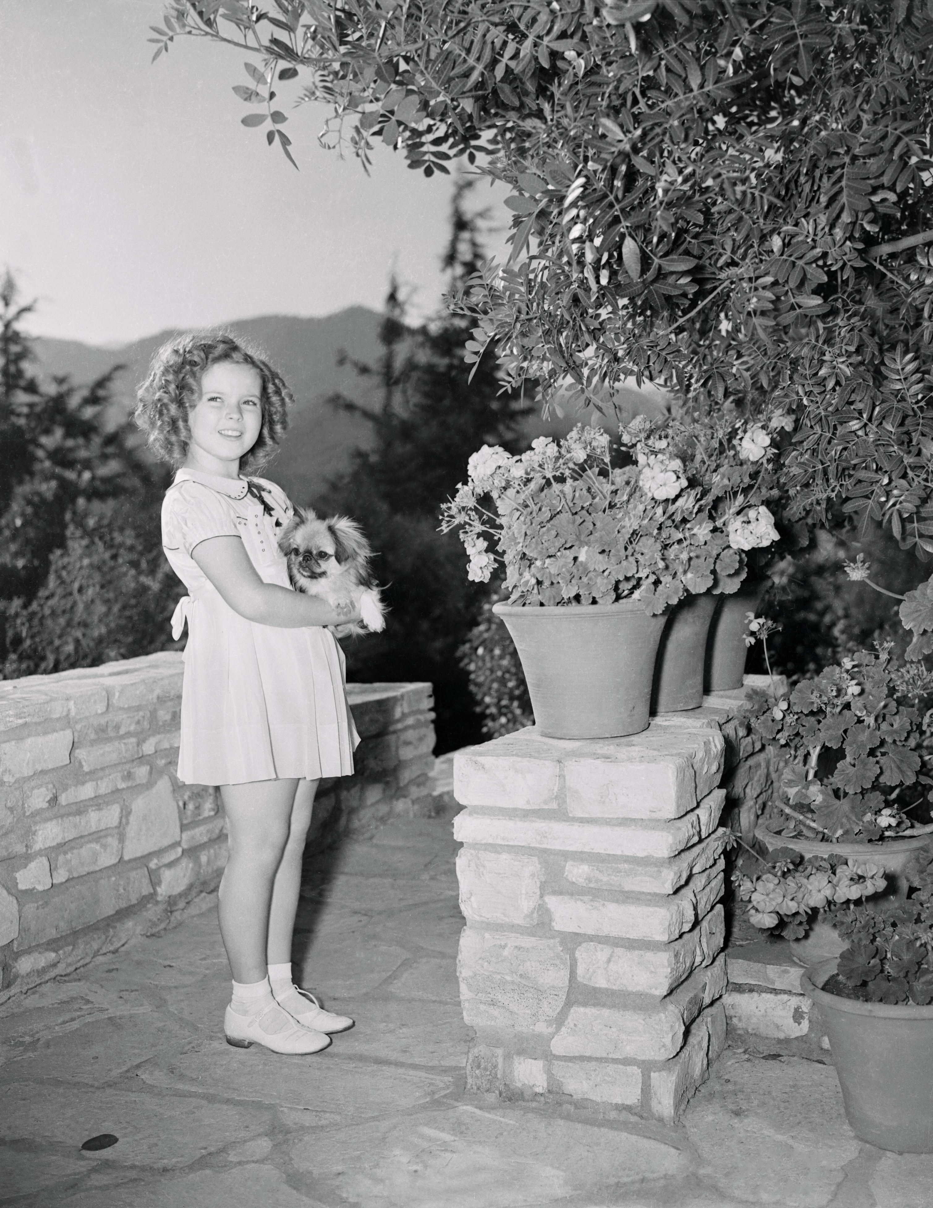 Shirley Temple at home: 25 photos of the off-duty child star through ...