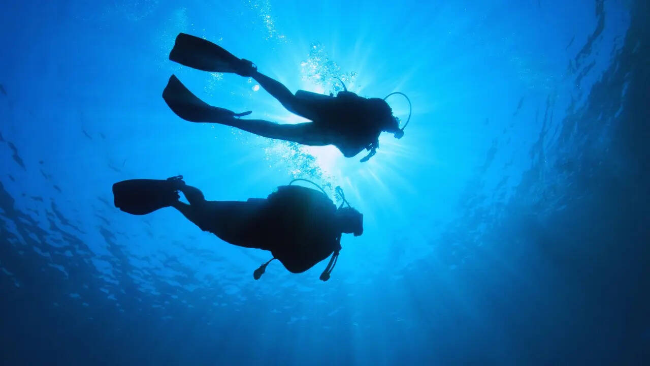 The ocean is scarier than you think: 10 chilling facts