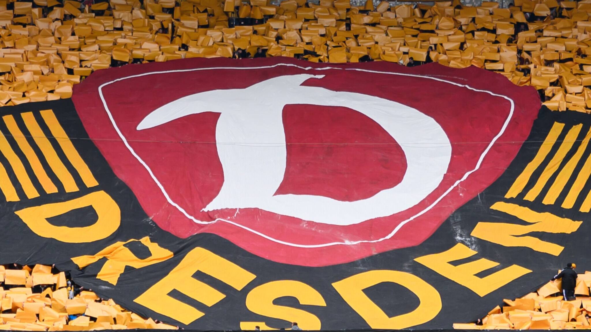 Dynamo erhöht die Ticketpreise und rechnet nicht mit städtischem Zuschuss