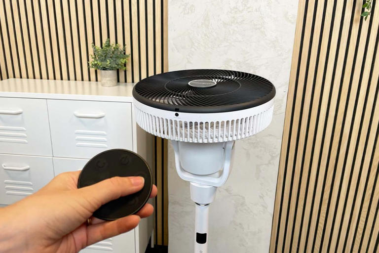 Standventilator-Test: Diese Modelle holen frischen Wind ins Haus