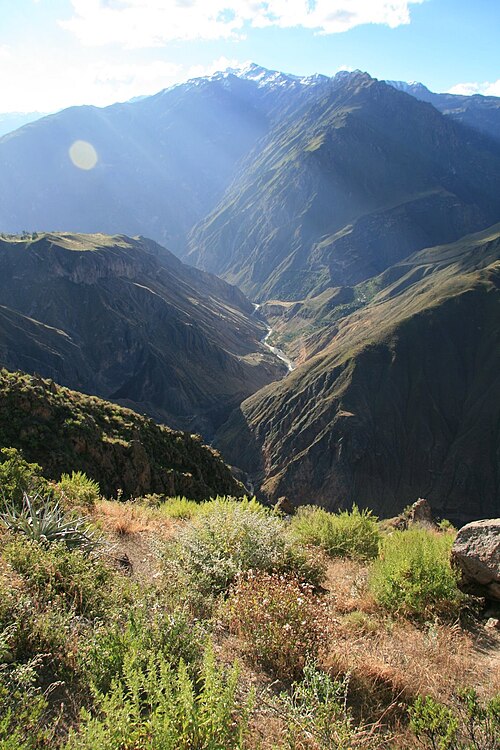 Morada do condor-andino: conheça o Cânion do Colca, o mais profundo do ...