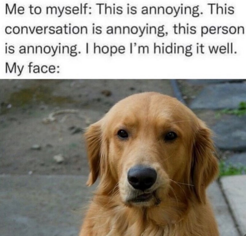 29 doggo memes to woofify your woof-filled weekend with peanut butter ...