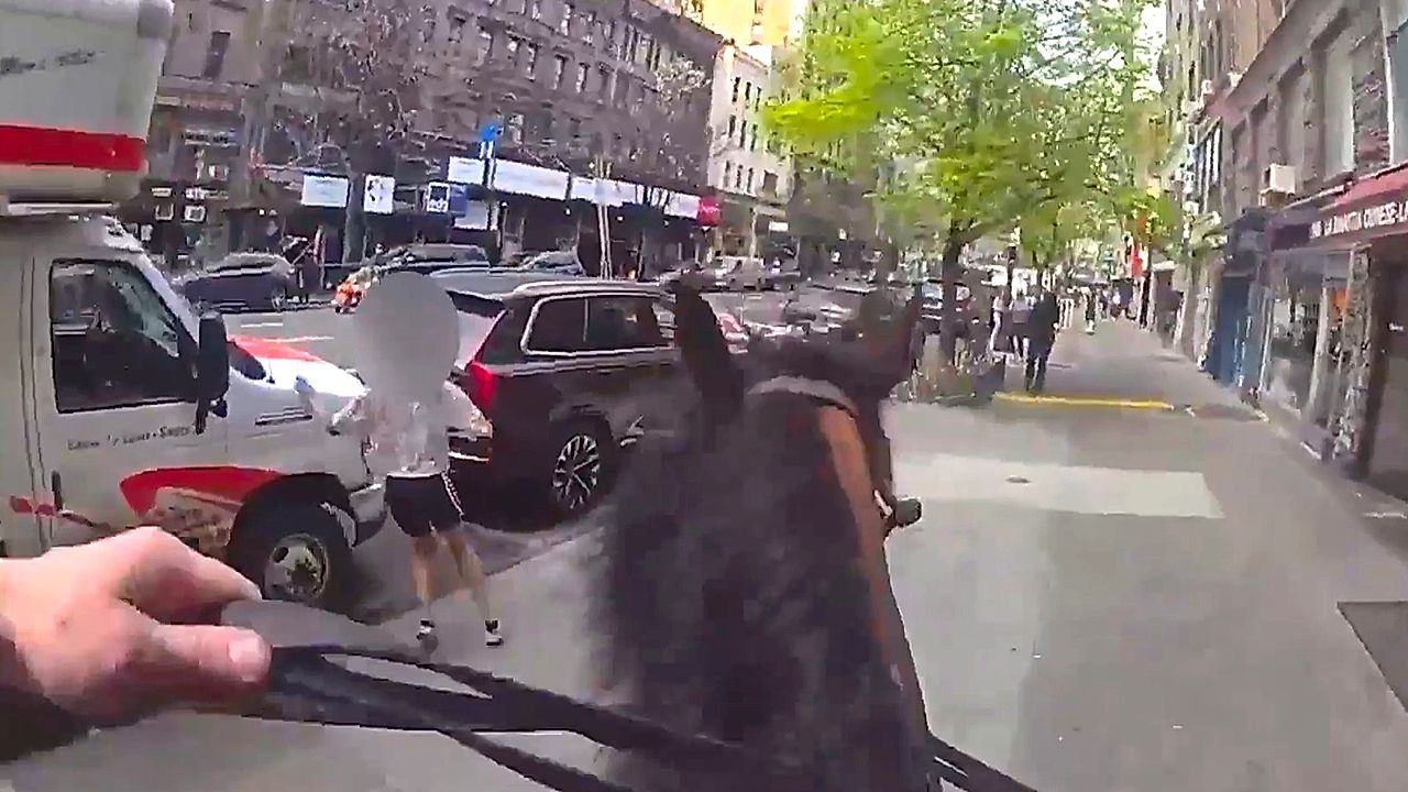 Un policier à cheval rattrape une voleuse à New York