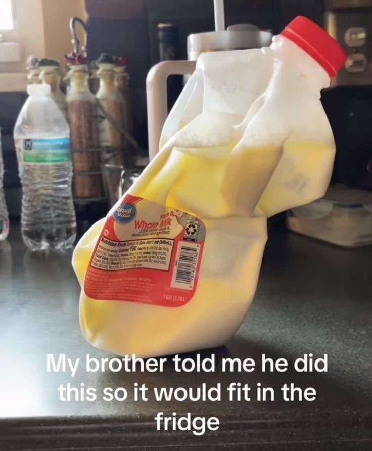 20 photos where common sense was too shy to show up