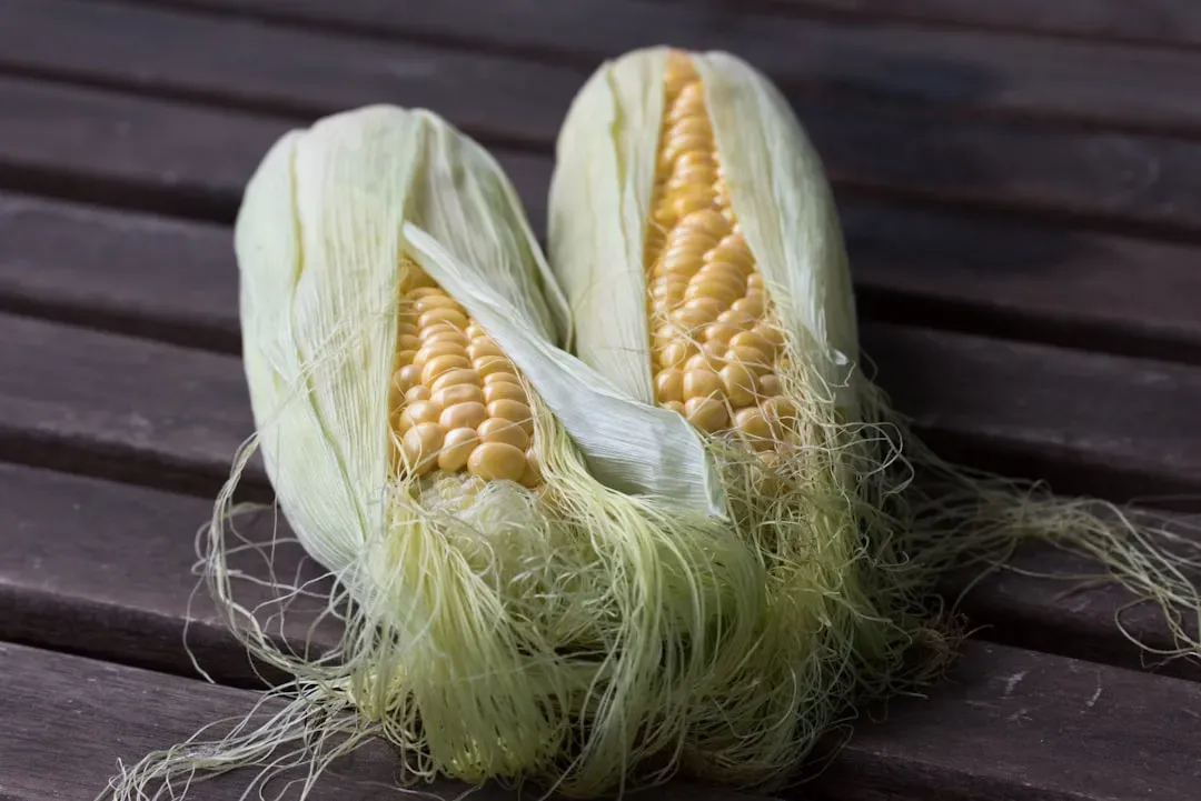 10 vegetables that actually taste better when you grow them yourself