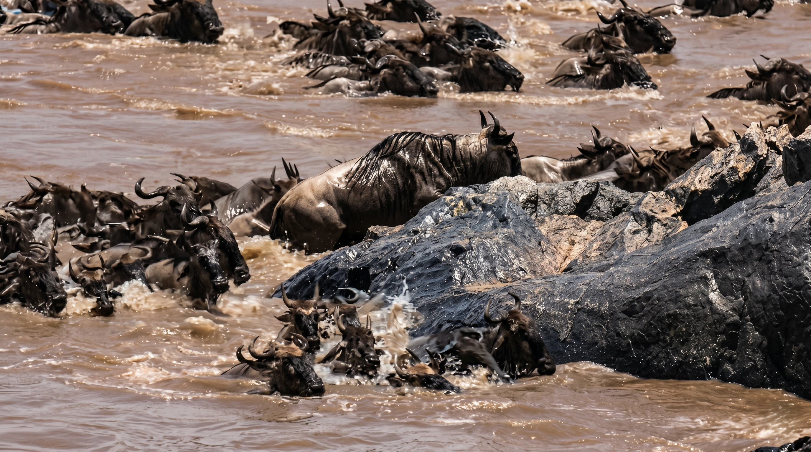 Watch what happens when a crocodile launches a sudden ambush from still ...
