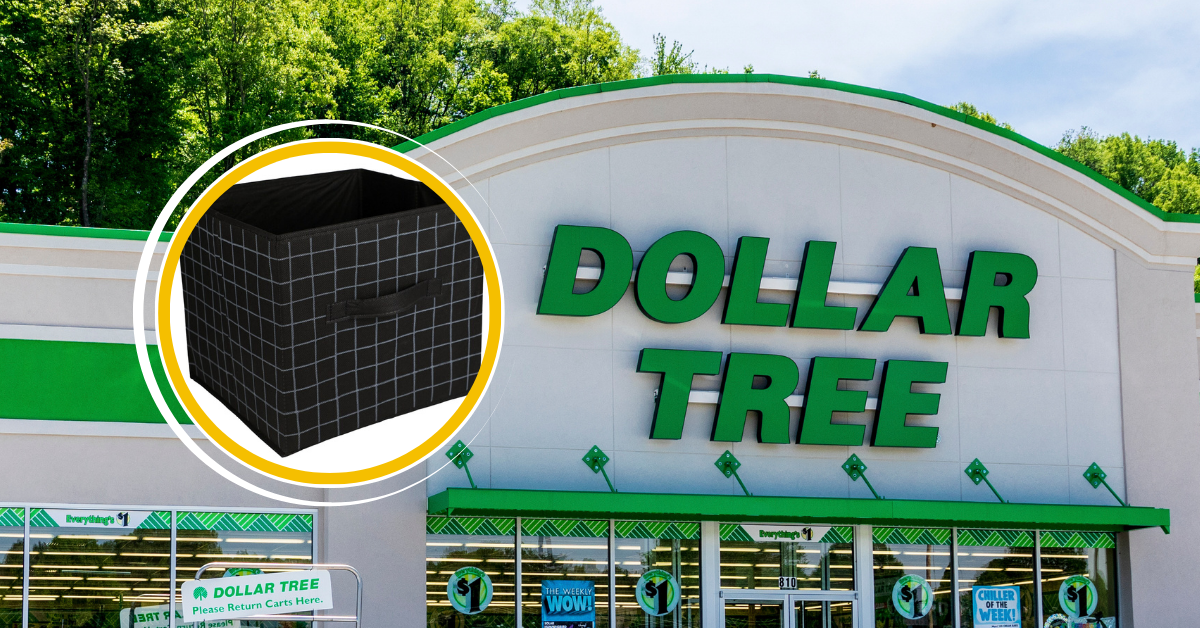 13 Dollar Tree organizing finds experts use to declutter their space