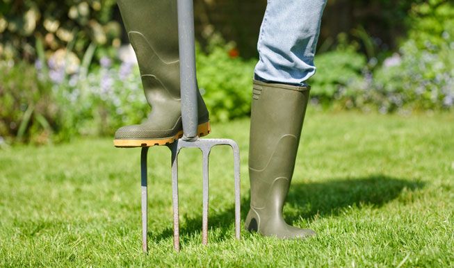 Is aeration the key to a thicker spring lawn? What yard experts recommend