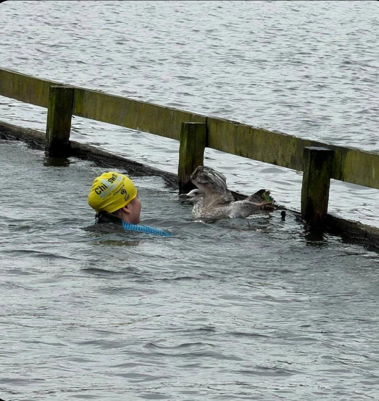 Heroic woman braves freezing water to rescue drowning seagull