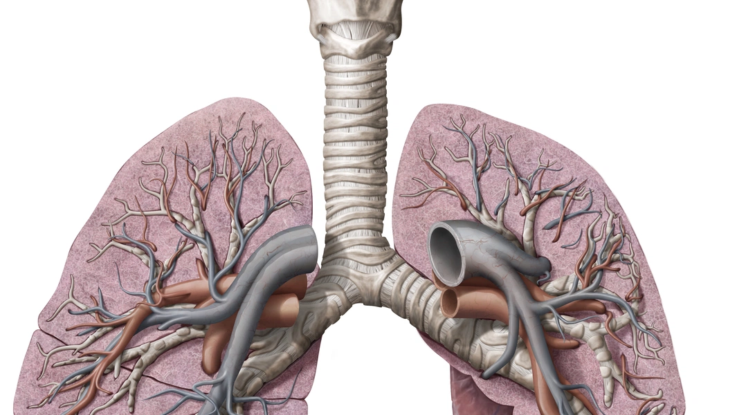 Breathe supplement secrets for healthier lungs