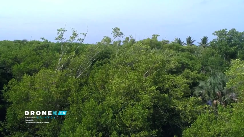 Humedales fotografiados con drones