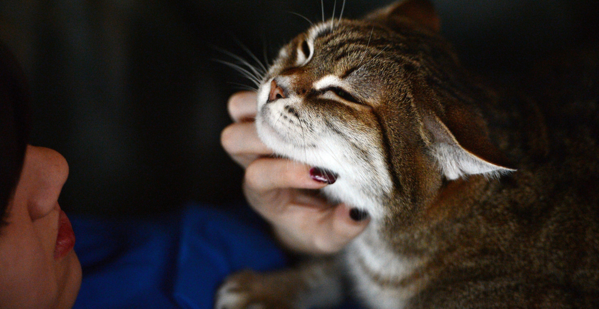Pets that live longer than expected