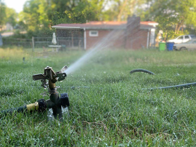 Can you still water your lawn or garden during Raleigh area water ...