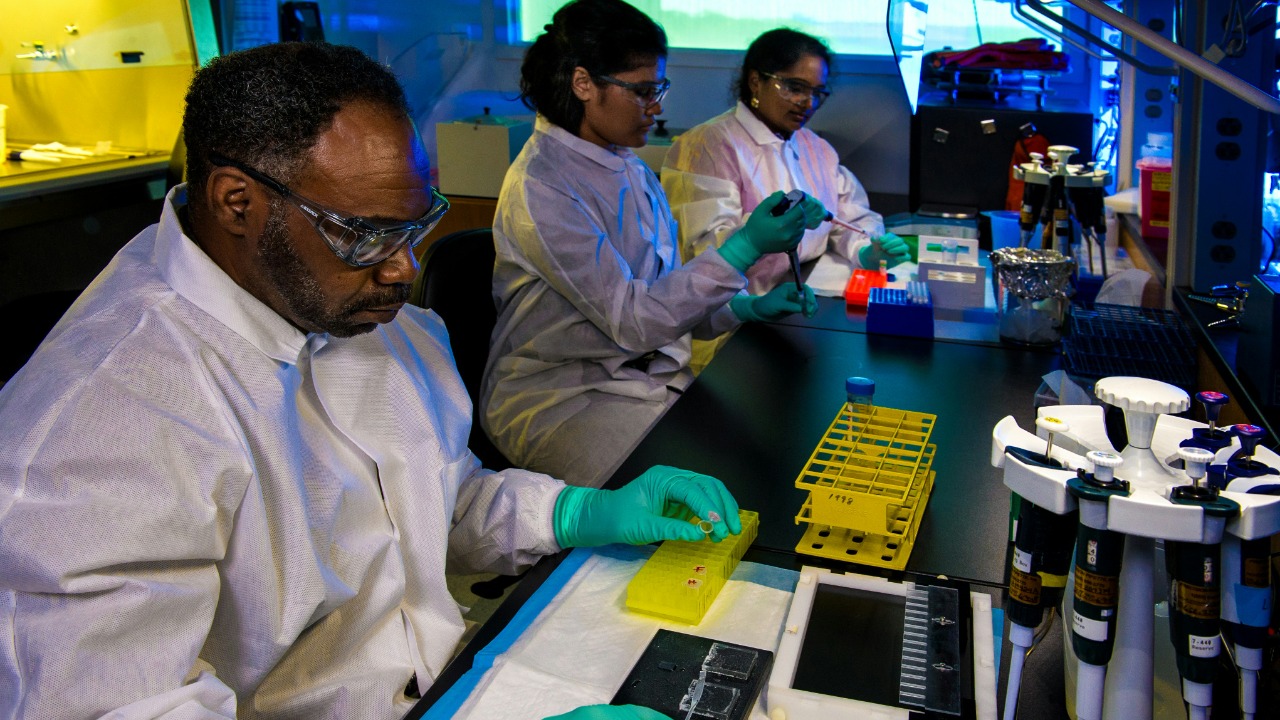 Scientists program living tissue to fold from flat sheets into 3D forms