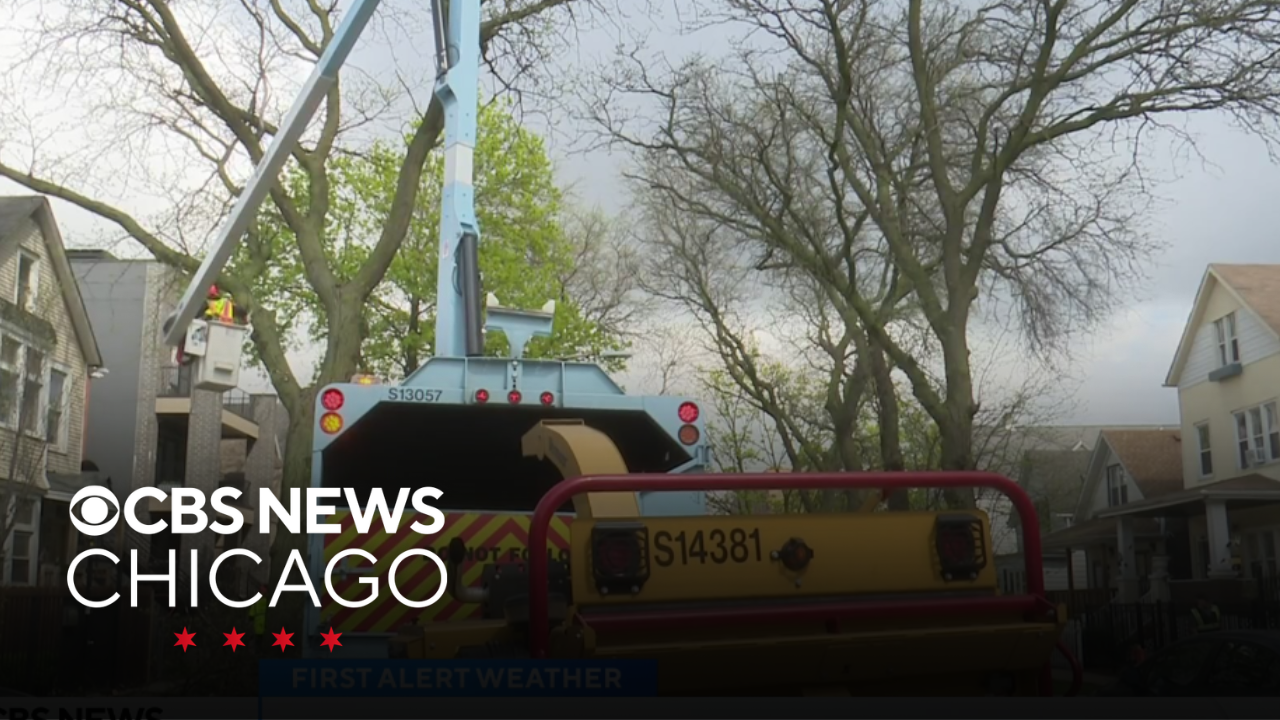 Tree trimming underway ahead of more storms